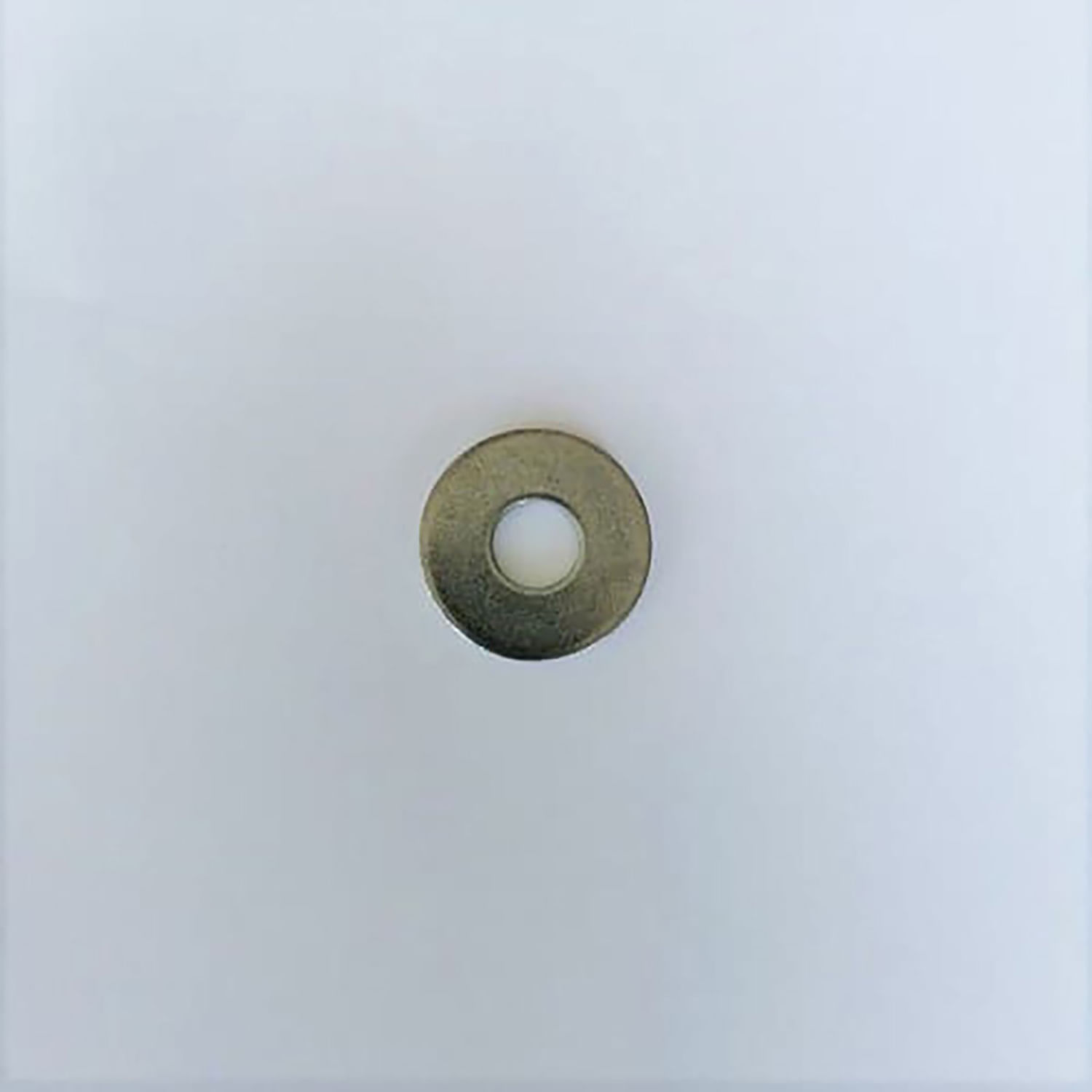 Rodela Plana 1/2 C/U - Kywi