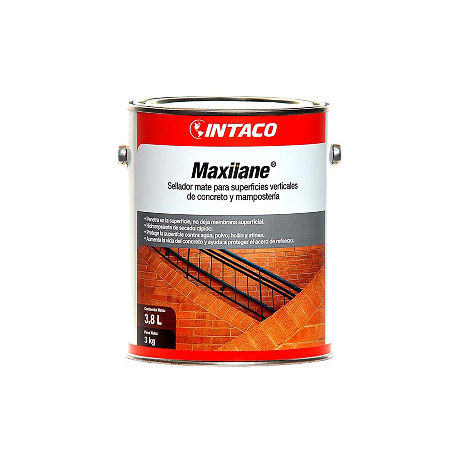 Maxilane Gl - INTACO - Kywi