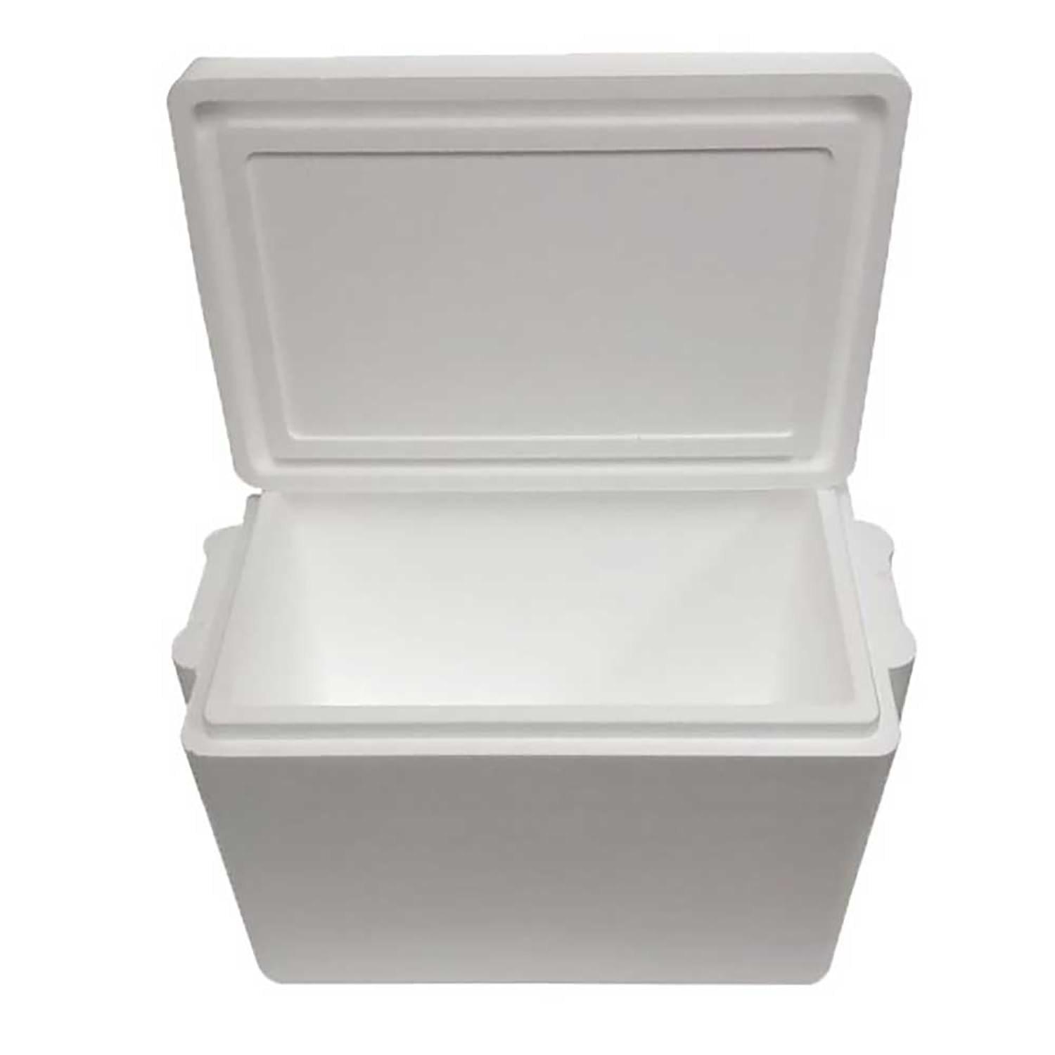 Hielera Plástica de 40 Litros, 55 cm x 36 cm x 40.1 cm - PLASTEX - Kywi