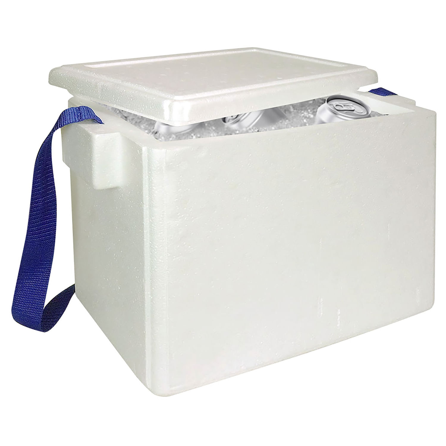 Hielera Termica 13Lt 39.5X23X29Cm - PLASTRO - Kywi