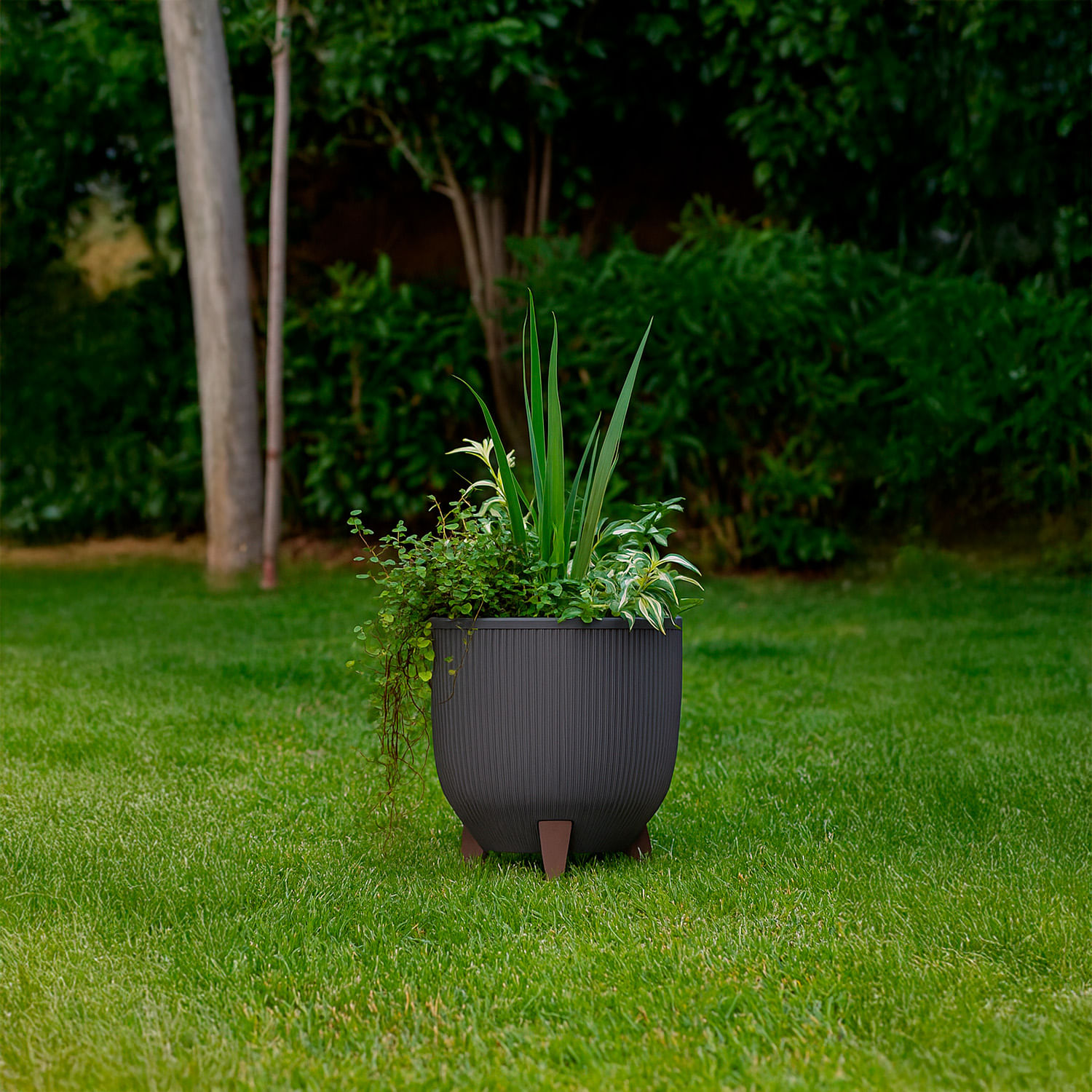 Macetero alto gris oscuro con diseño DECO LINES con capacidad de 20,4 ...