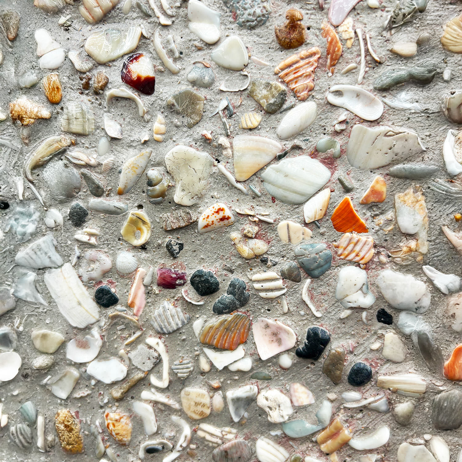 Conchilla multicolor de calibre 4 Presentación: Saco de 1 m2. - VICTOR ...